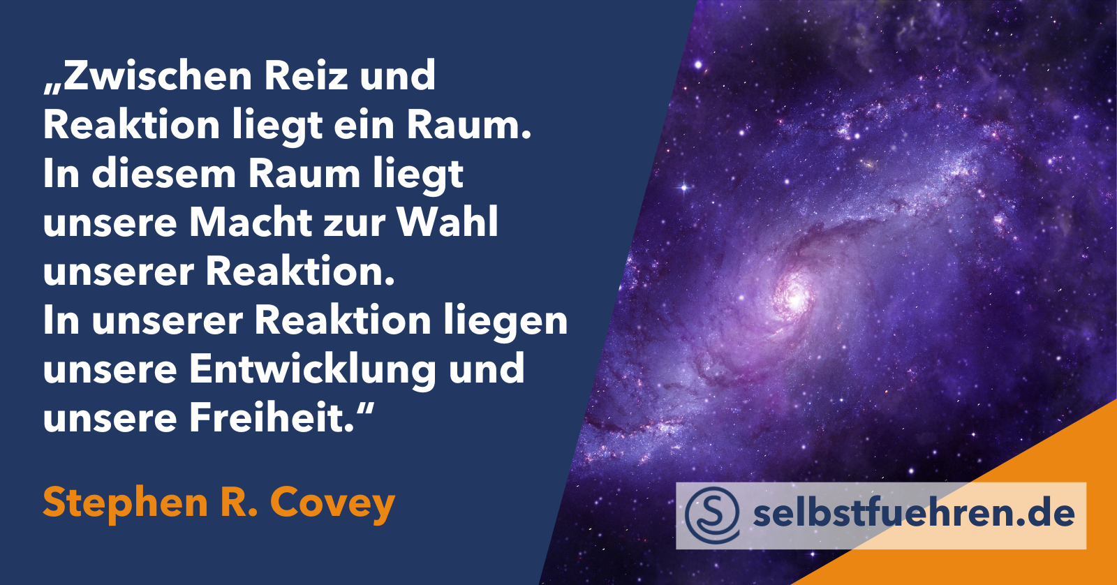 Der Raum zwischen Reiz und Reaktion – selbstfuehren.de